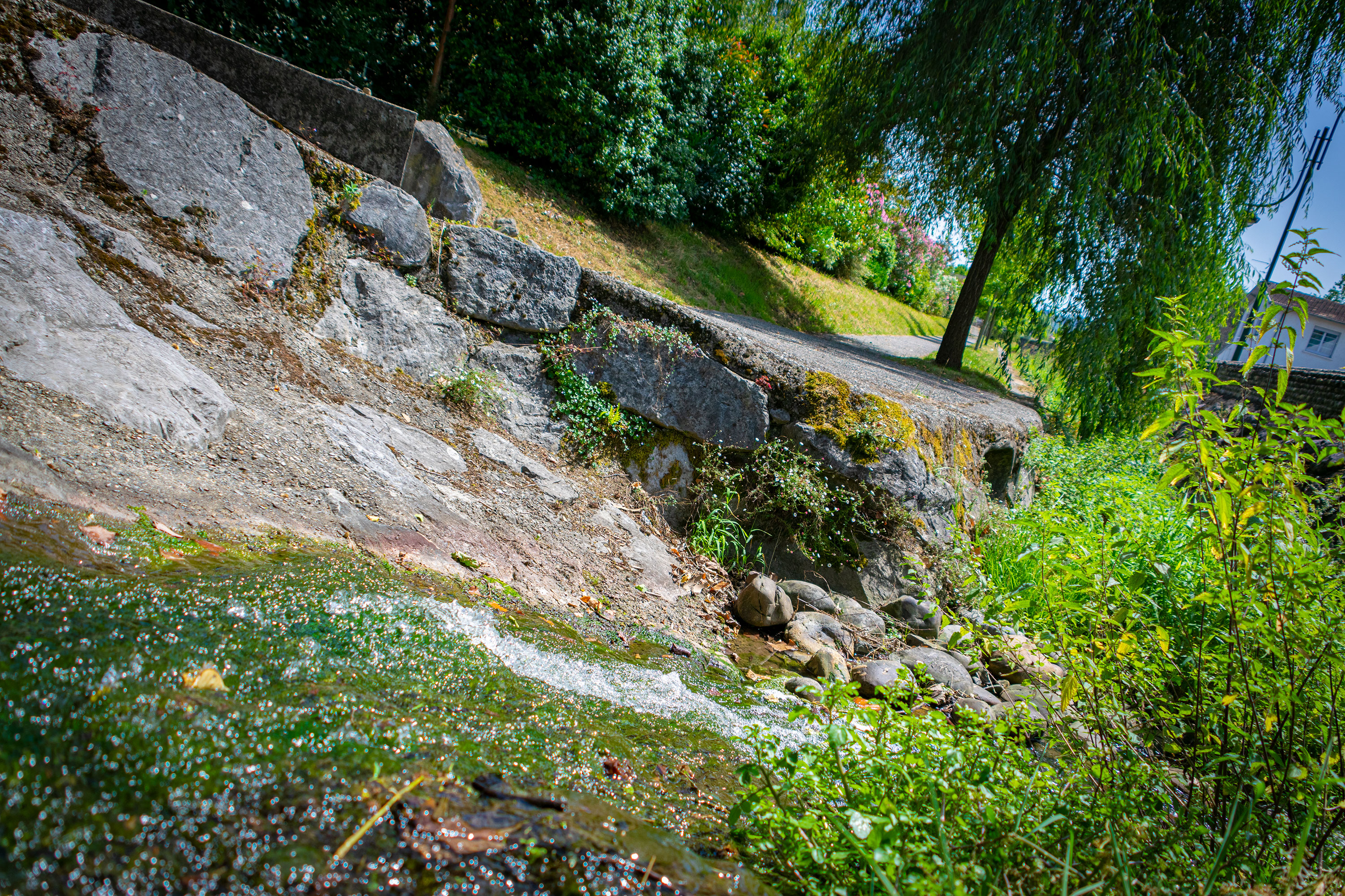 L'été à Lescar - Site officiel de la ville de Lescar